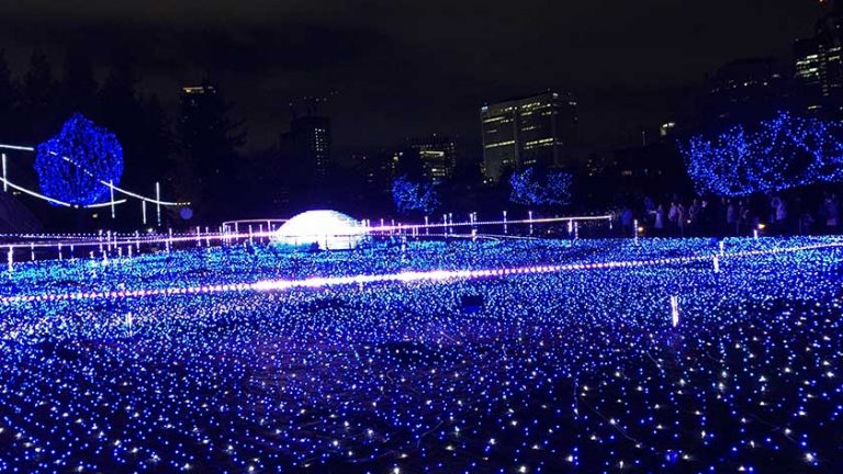 Christmas Lights in Japan – Accessible Japan